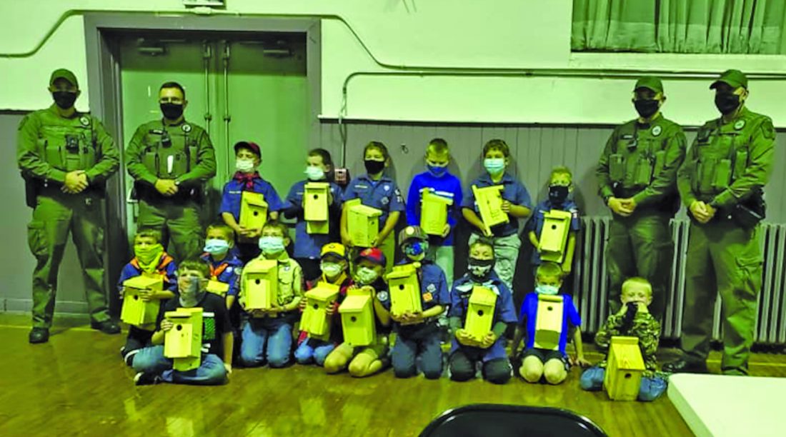 Cub Scouts aid in Eastern Bluebird conservation | News, Sports, Jobs ...
